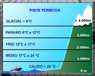 PATRIMONIO GESTIÓN TURISTICA: PISOS TERMICOS